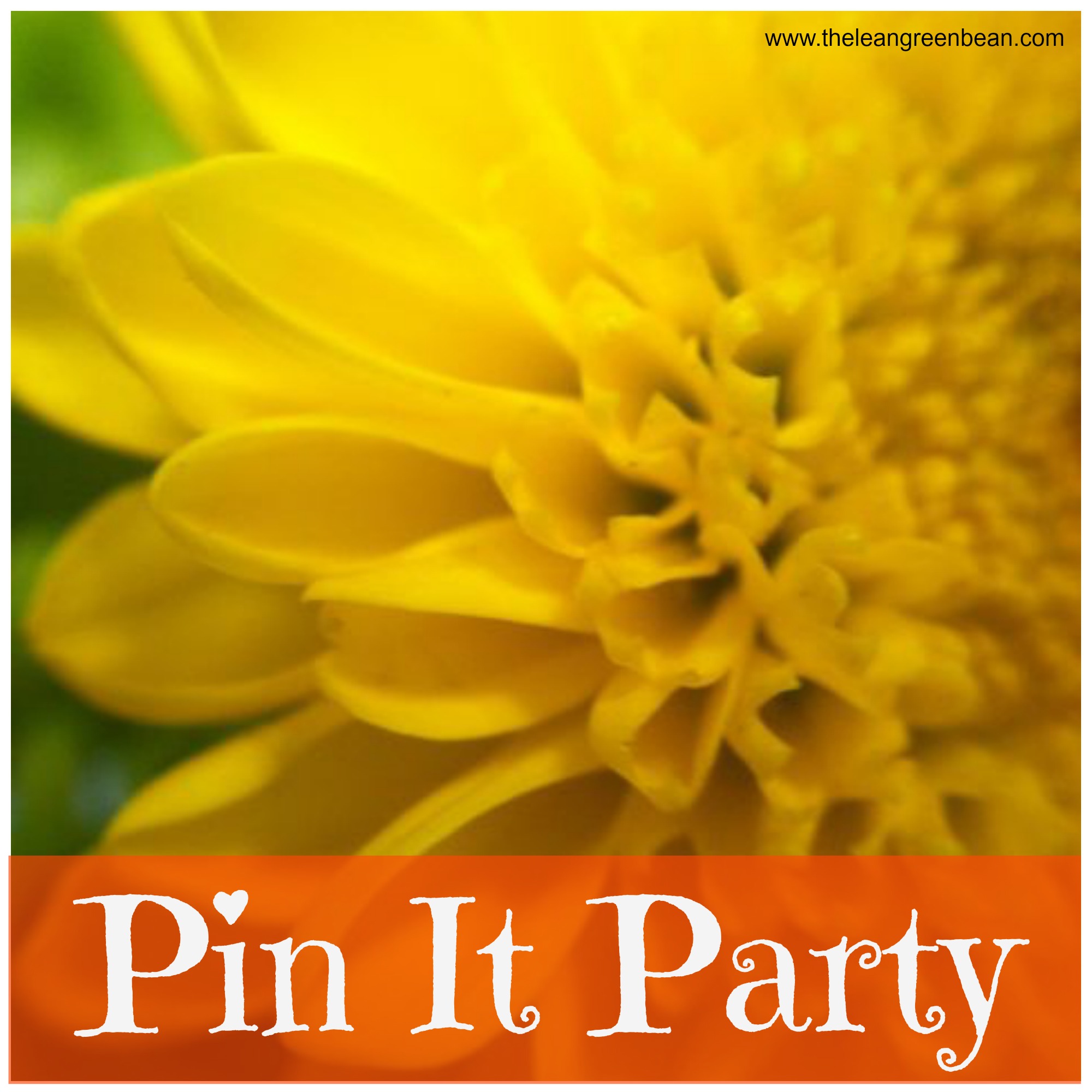 Pin It Party - 5 Posts Worthy of Pinning