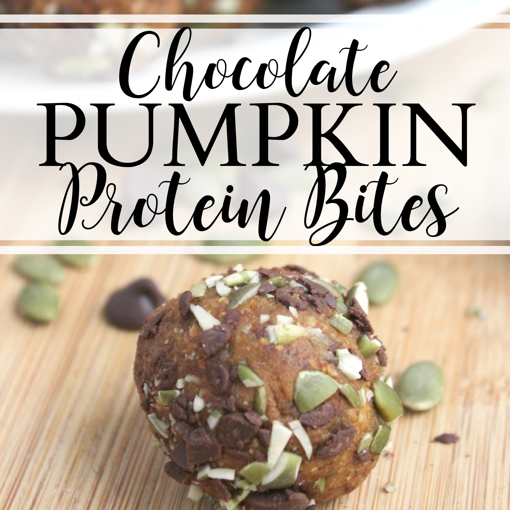 Chocolate Pumpkin Protein Bites